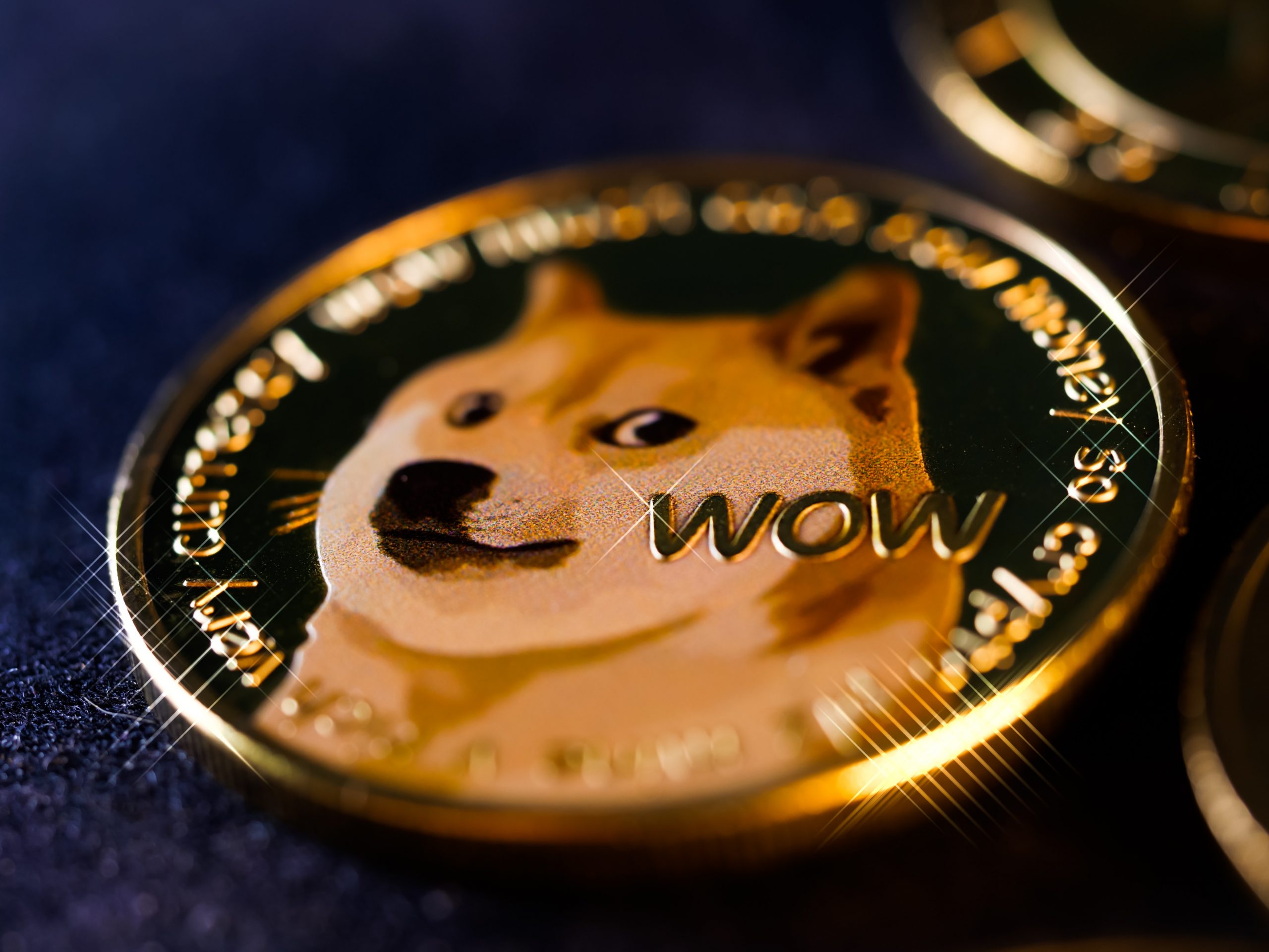 What’s Happening in Crypto: Dogecoin is the New Face of Twitter ...