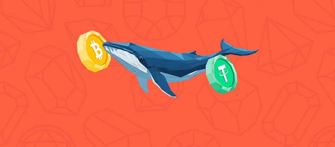What Are Crypto Whales? Everything You Need to Know | Quidax